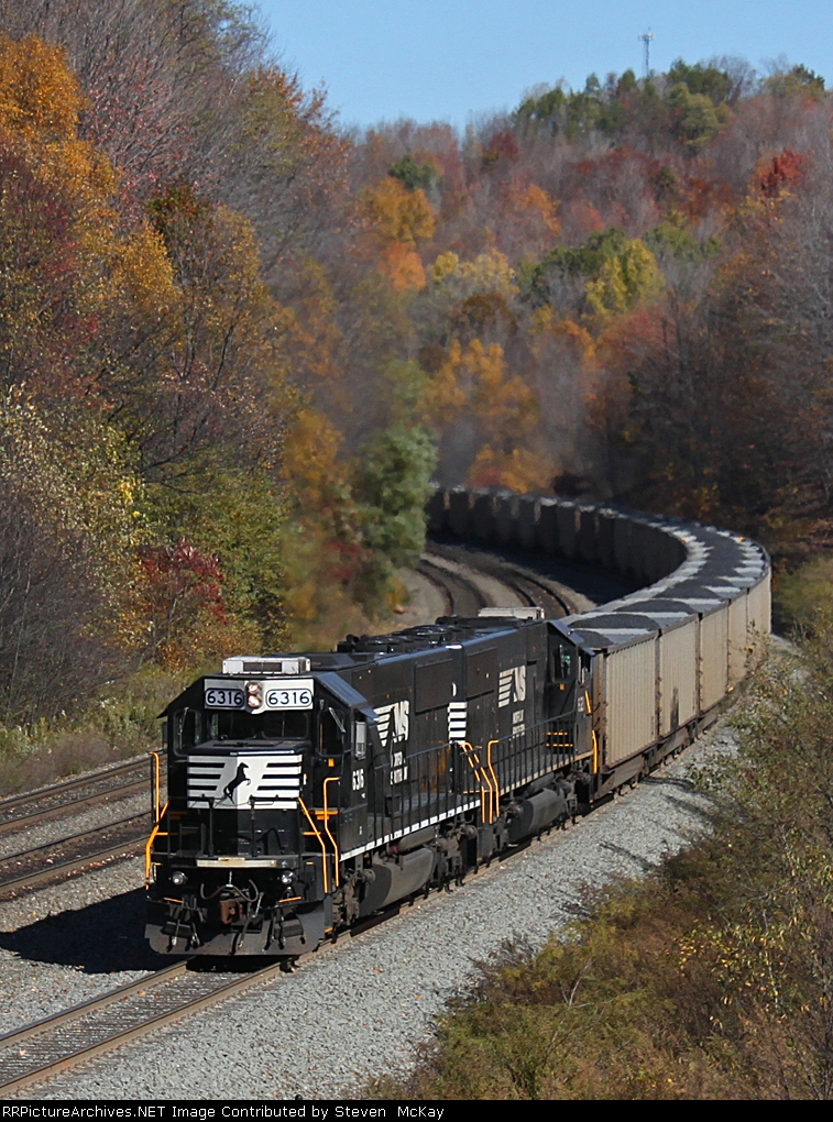 NS 6316